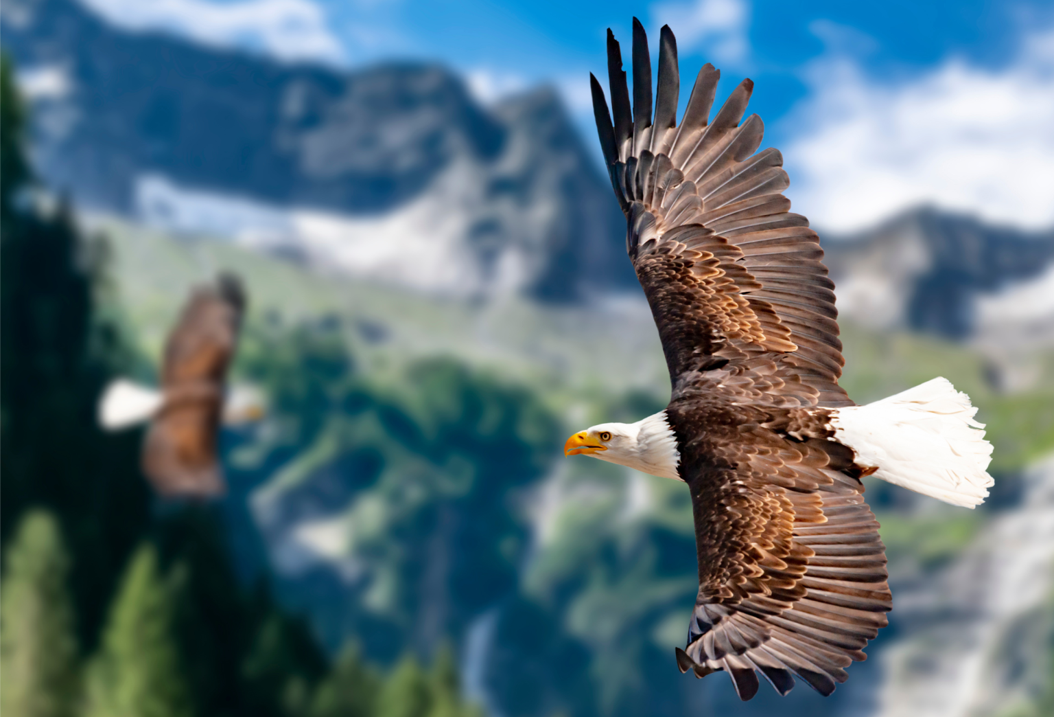 Indigenous Peoples - Eagle Mapping